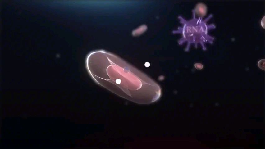 新型肺炎病毒存在变异可能:3D详解病毒变异全程