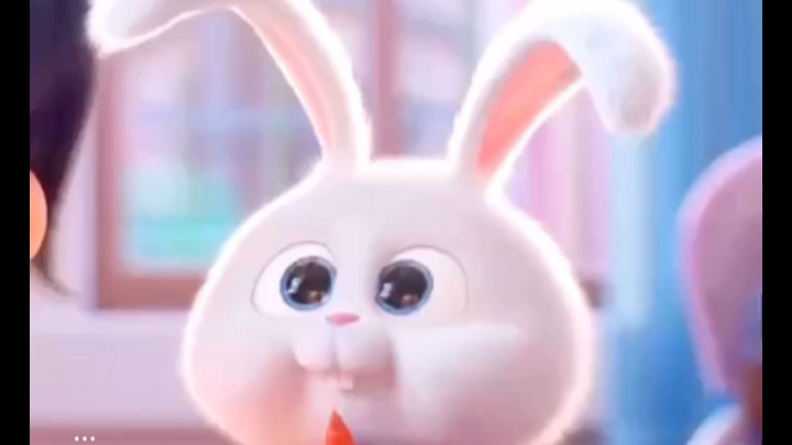 我的微信8.0状态视频背景,可爱吗?