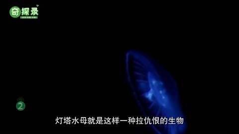 5大不死生物,通过细胞分化重组,返老还童