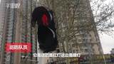 【河南】人行道现“双面”信号灯 一红一绿看懵过路行人