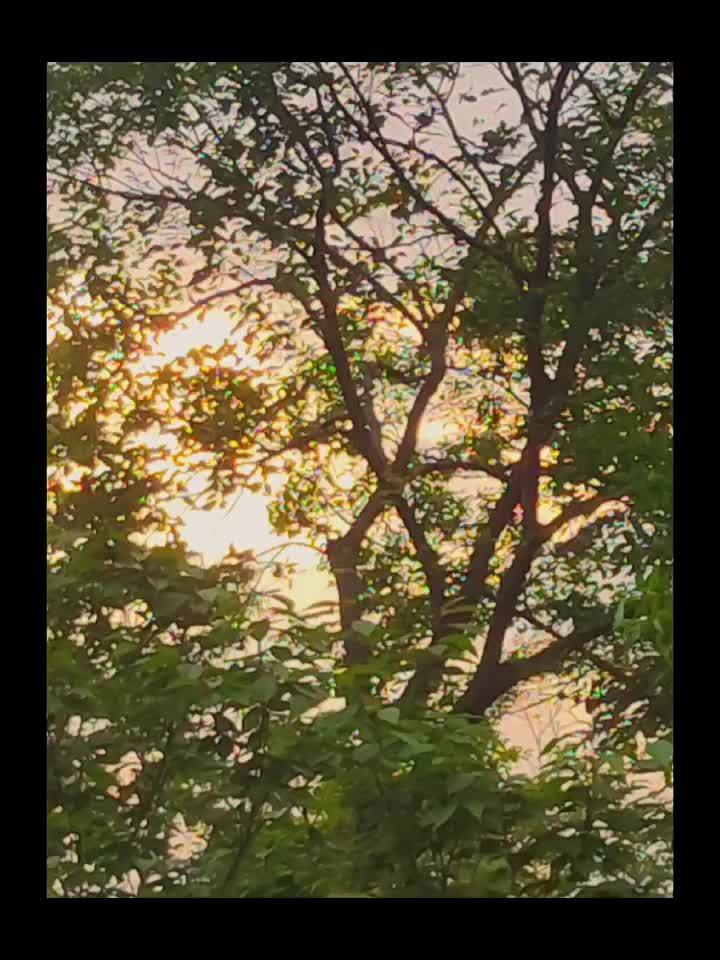 慢慢来吧以结婚为目标谈以年为单位的恋爱吧.#文案