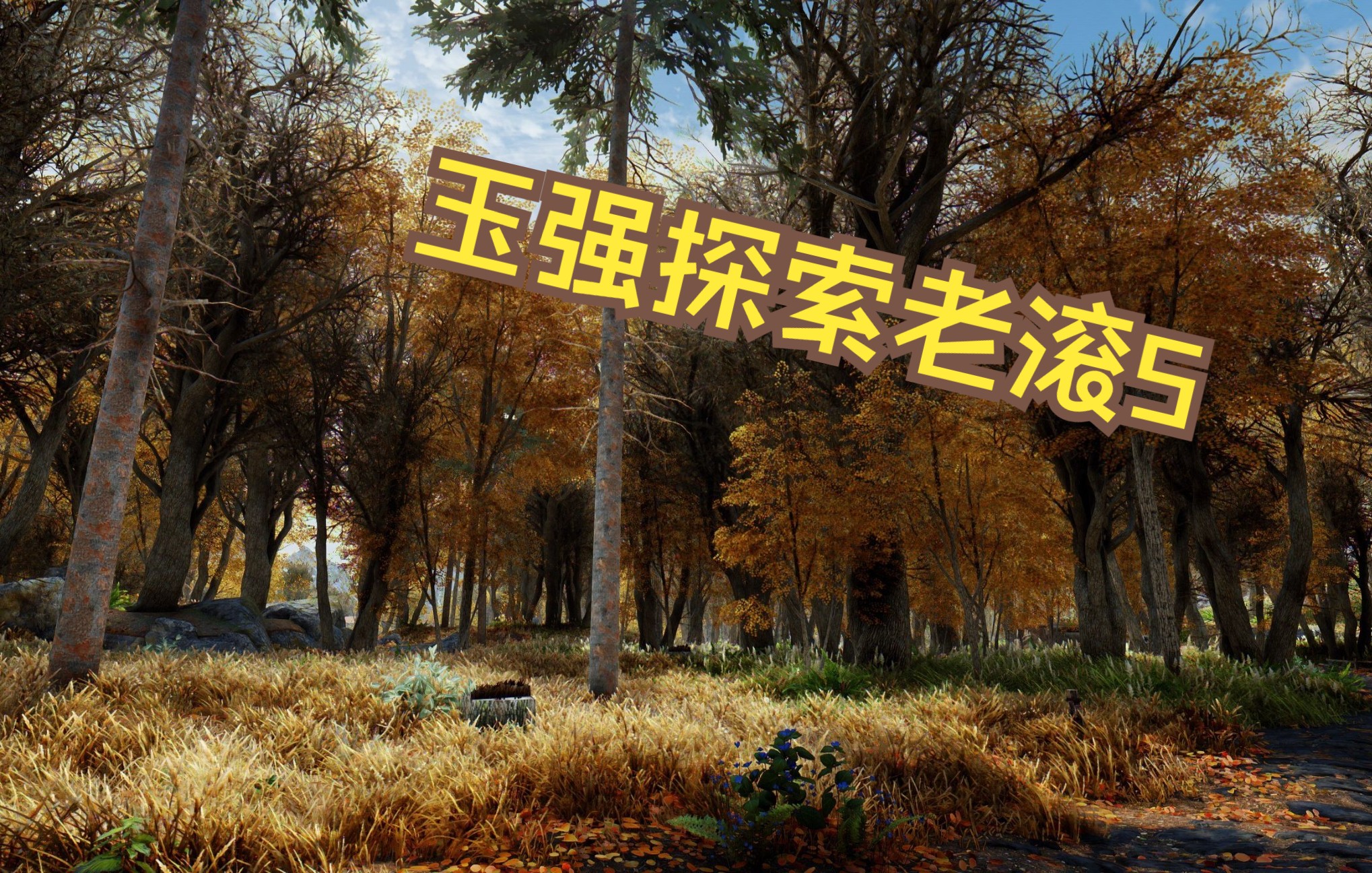 4K2022年的上古卷轴5-玉强在裂谷地区探索-遇到两窝强盗营地-前去...