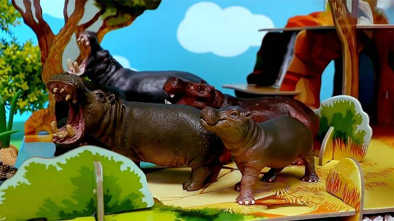 教会宝宝认识河马狼雌狮动物模型玩具,寓教于乐边玩玩具边学习