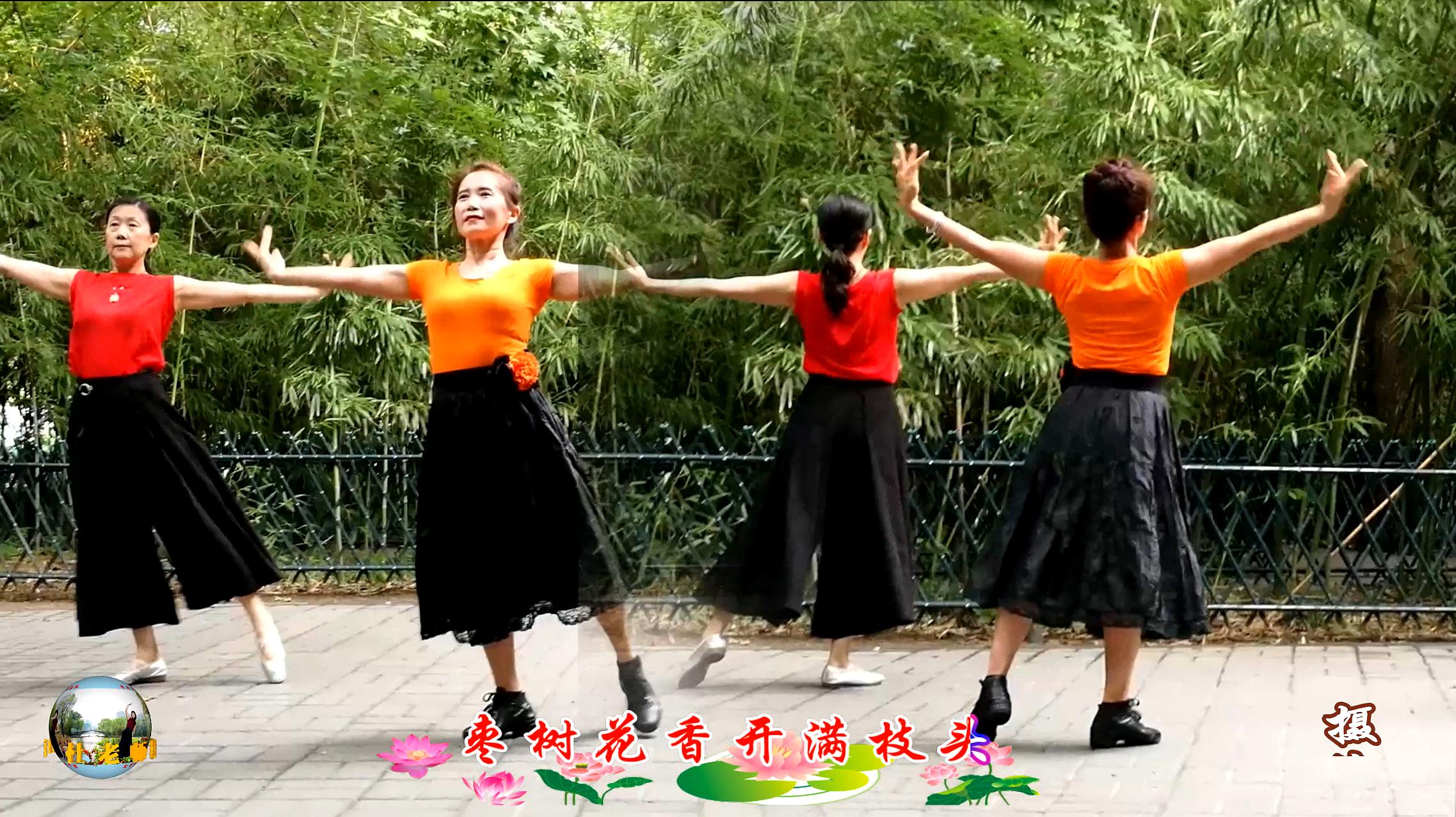 紫竹院广场舞《红枣树》,正背面演示
