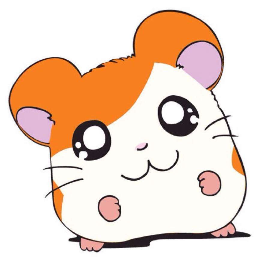 小显体育圈 