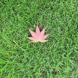 期待所有未做过的事 