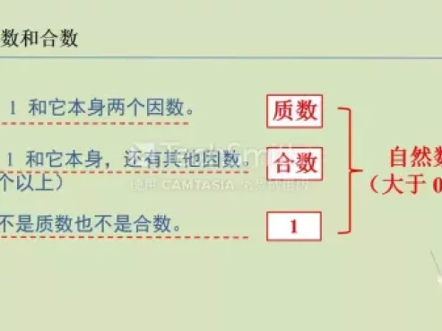 邳州市八义集河涯小学五年级数学下册第三单元第五课时《质数和合数...