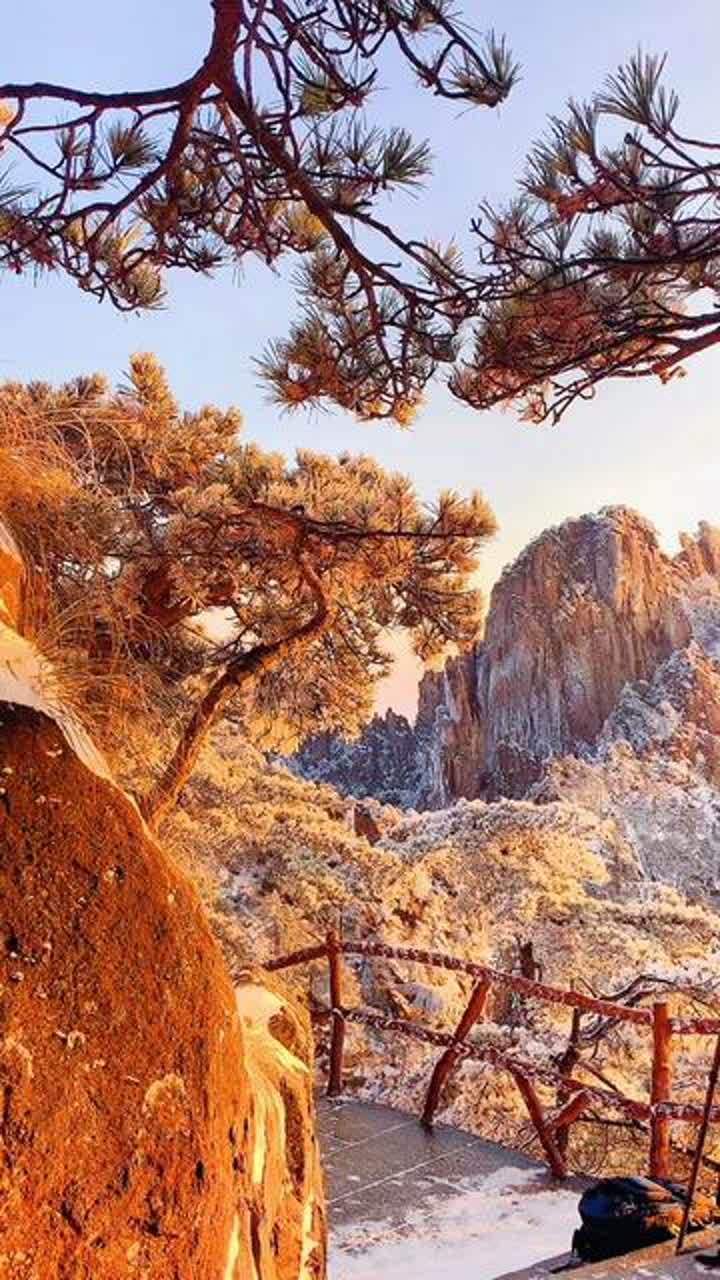 ...都将绽放出春天美好安徽起来唯美意境云游大中国中国文旅直播大会