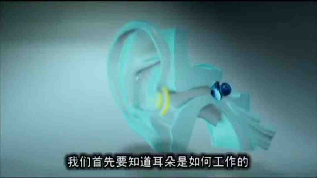 声音的传递