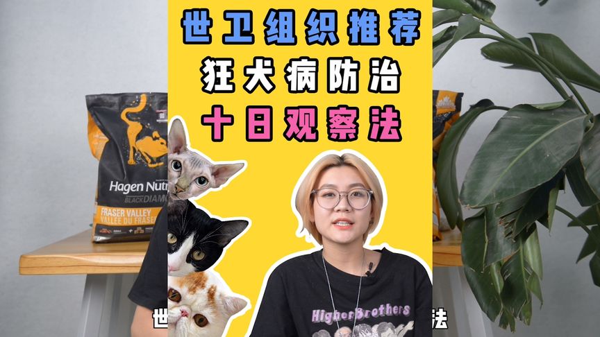 世界卫生组织发话了 快来看啊