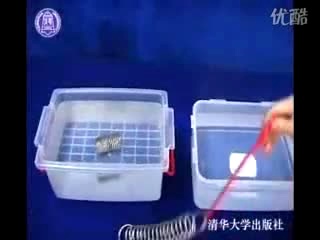 清华大学演示实验-记忆合金趣味实验