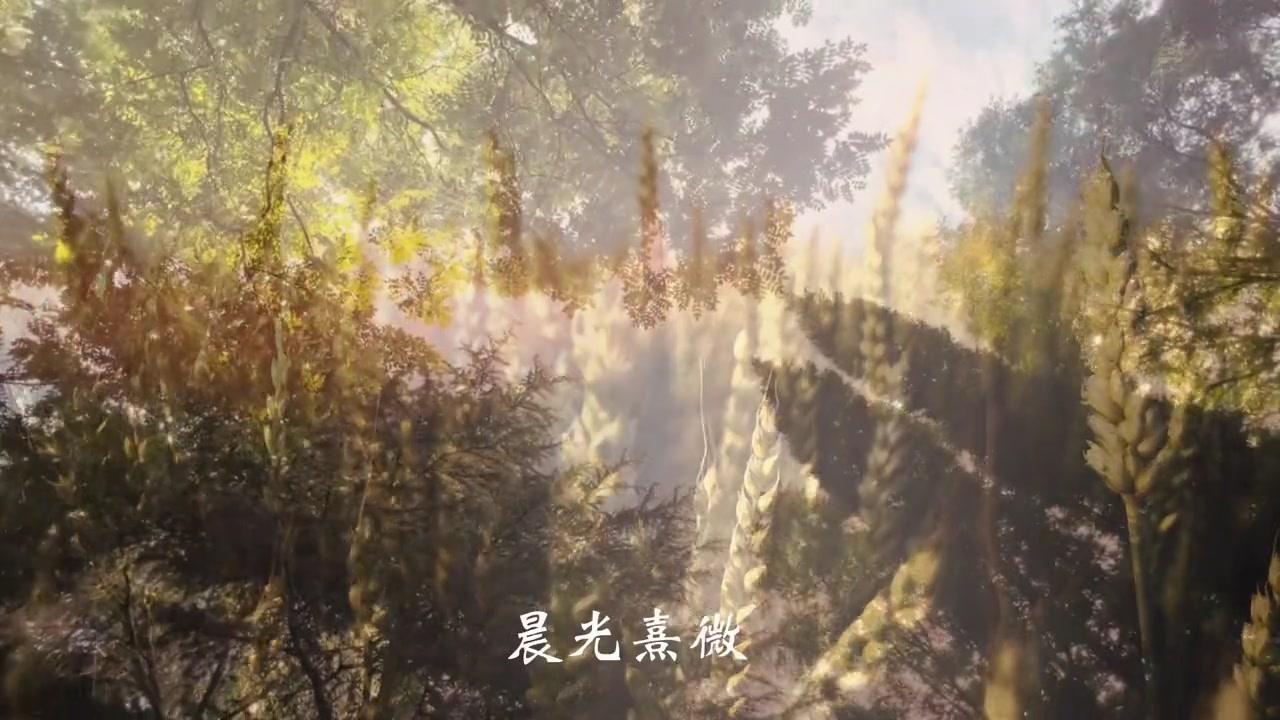 二十四节气-芒种。春种秋收,夏芒种,又是一年农忙时,收早稻,育...