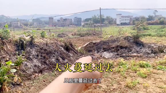 亲戚放火烧垃圾,大火把别人坟墓烧了,要求赔偿3000元,哎!