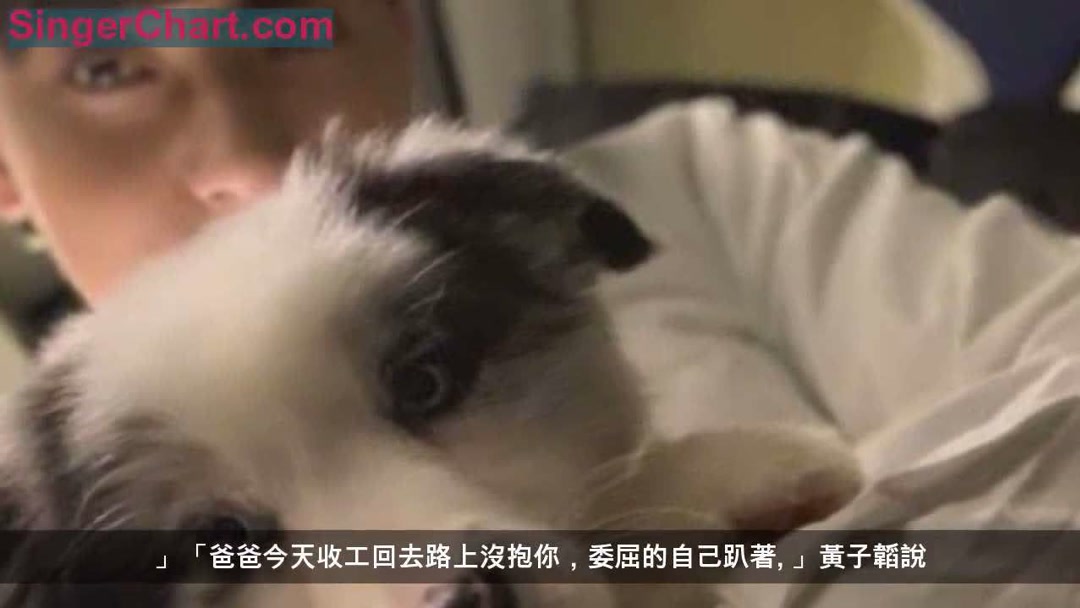黃子韜養愛犬養得心力交瘁 被狗狗咬出血了,去排隊打疫苗