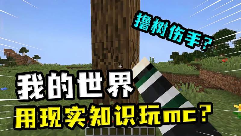 我的世界:用现实知识玩mc?以为撸树很伤手,还很袒护村民