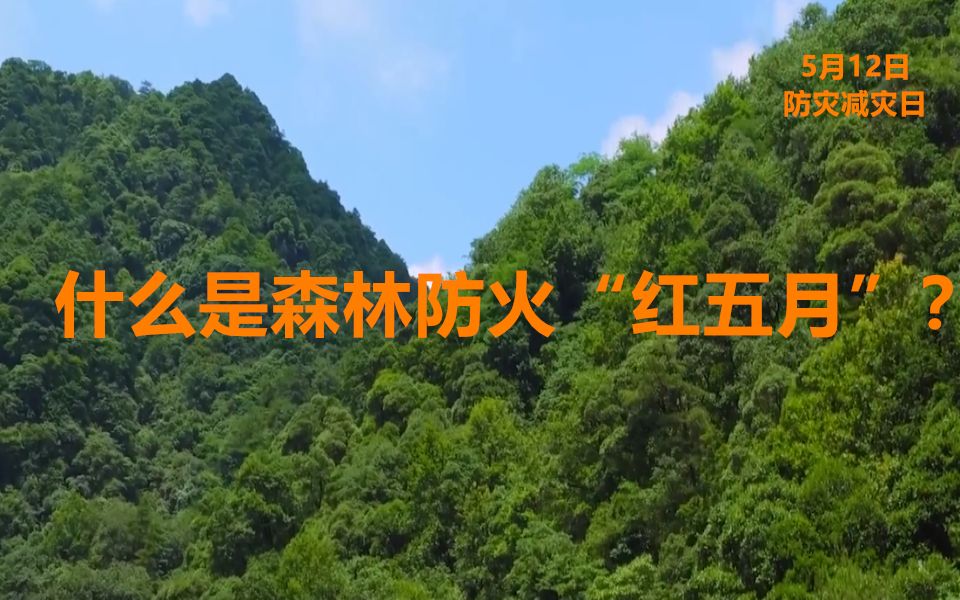 【防灾减灾日】什么是森林防火“红五月”?