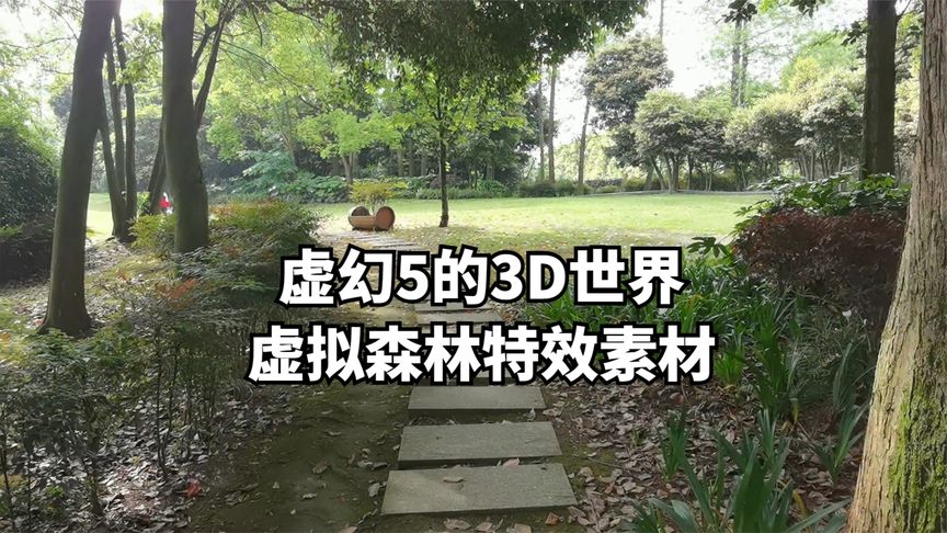 虚幻5的3D世界,虚拟森林特效素材,元宇宙沉浸式超真实感