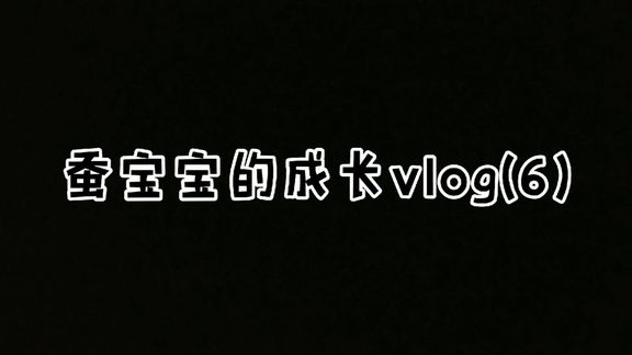 蚕宝宝的成长日记(6)