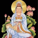 缘来入此学佛 