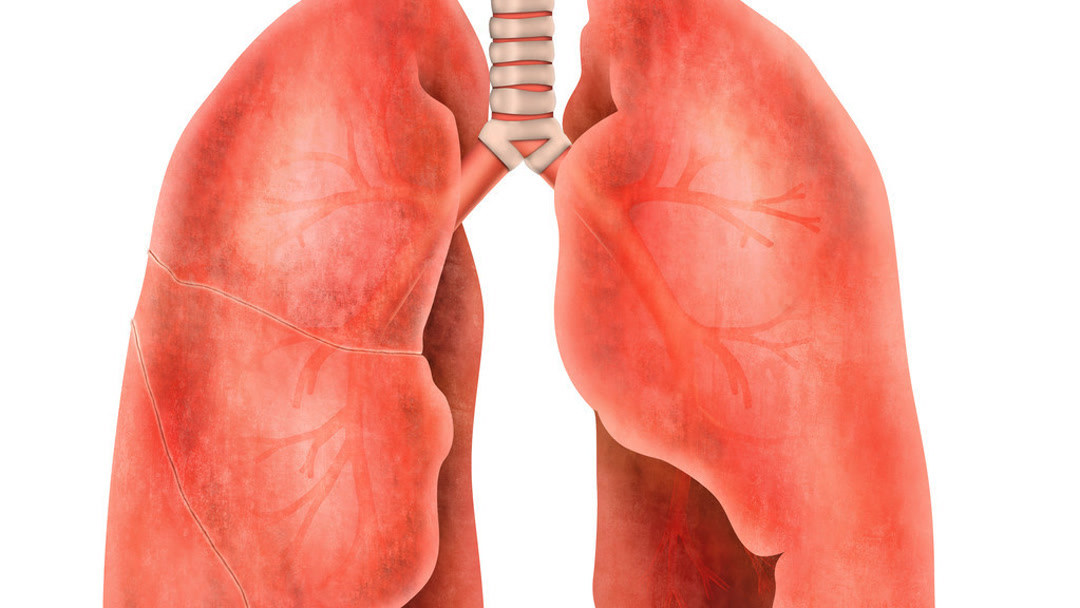 衡量肾脏是否健康的三个指标是什么?看看你的身体是否健康