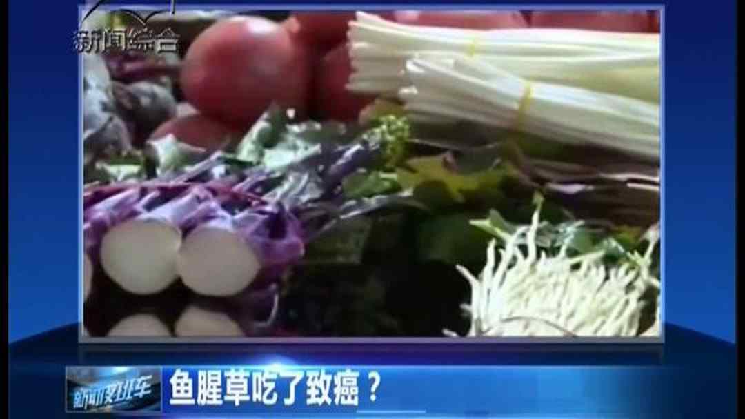 鱼腥草吃了致癌?