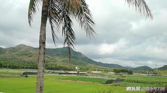 在这个世界上最大的力量就是信任和爱(海南风景)