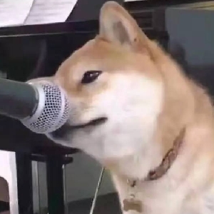 耀扬的键盘供货商 