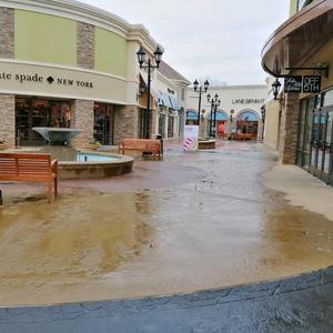 在大熊山看城南旧事的丹顶鹤 