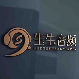 生生音频科技 