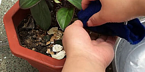 过期洗发水别扔了,这几个妙用,厉害又实用