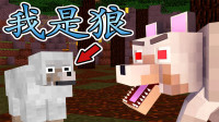皮卡解说我的世界 第一季 第156集 大笨狼与七只小蠢羊!MC超真实的...