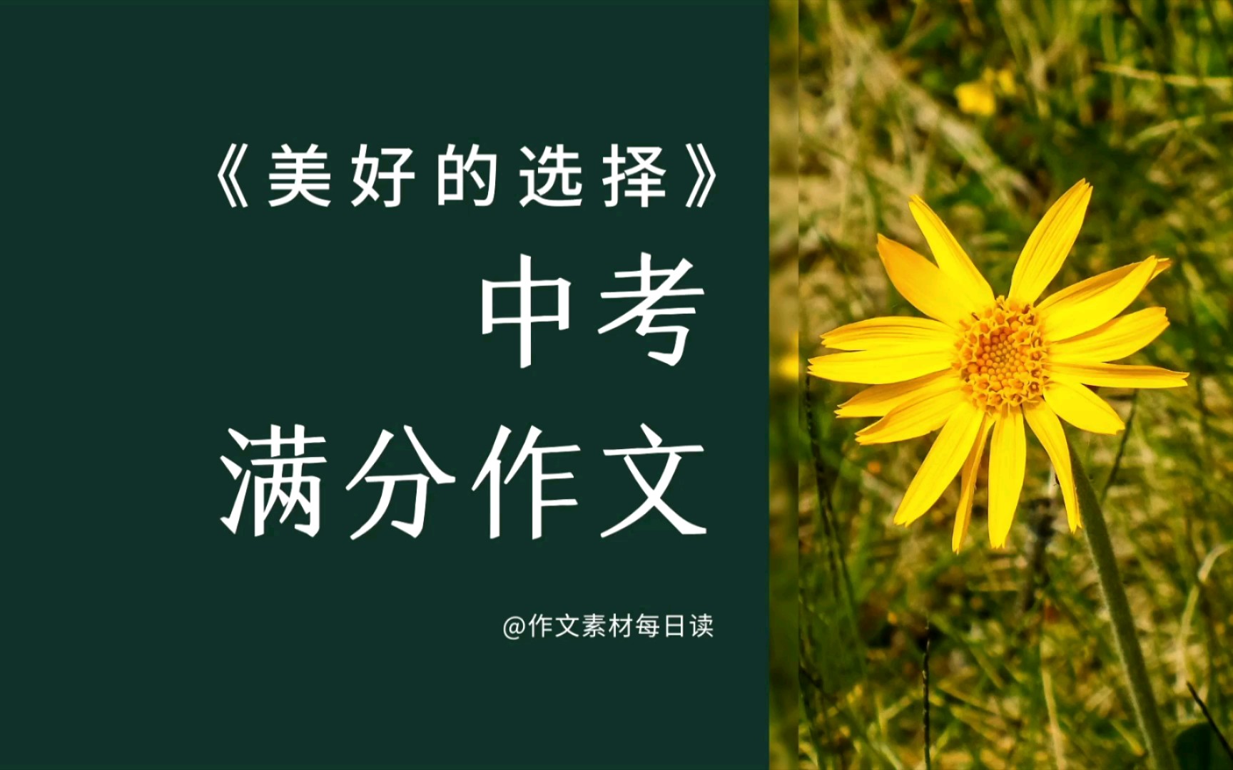 【作文素材配音】中考满分作文:美好的选择