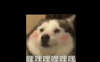 【小小整活系列】刀一挥最近爆火的AI绘画,来看二次元的刀哥