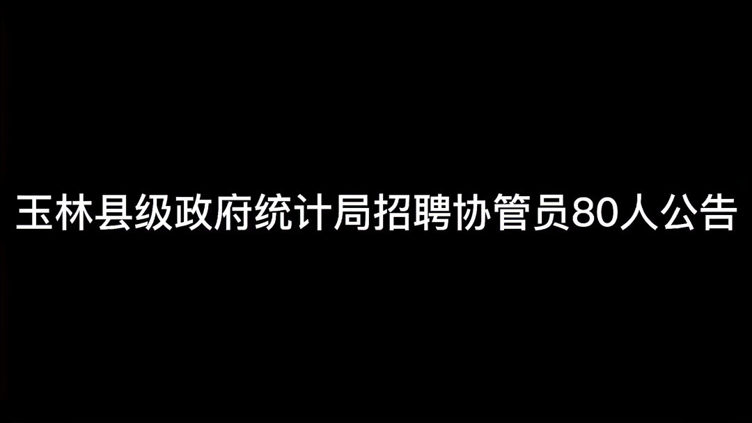 玉林县级政府统计局招聘协管员80人公告