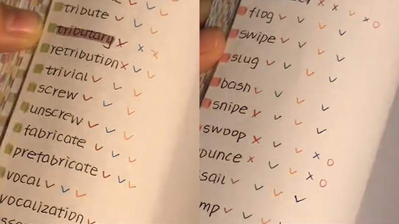 女生用艾宾浩斯记忆曲线背单词,网友看到直呼:想要教程方法