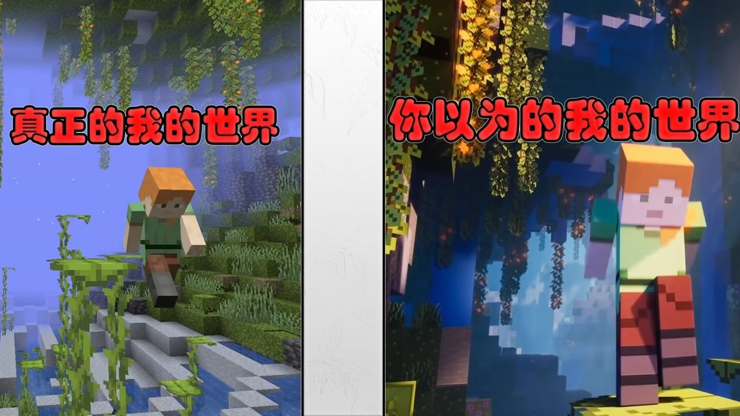 你以为的我的世界VS现实的我世界