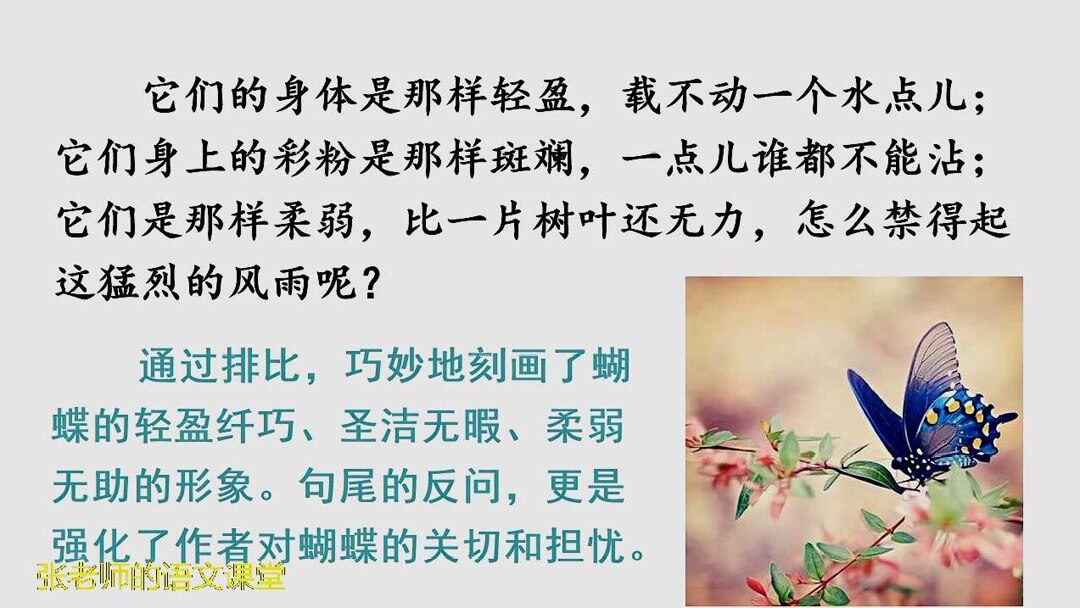 四年级上《蝴蝶的家》,雷电吼叫着喧嚷着,这是运用什么修辞手法