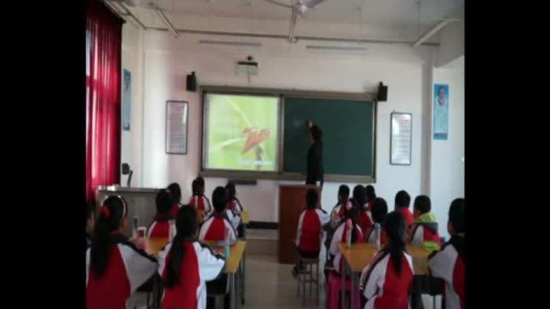 小学美术_人教2011课标版_第9课 蜻蜓飞飞13