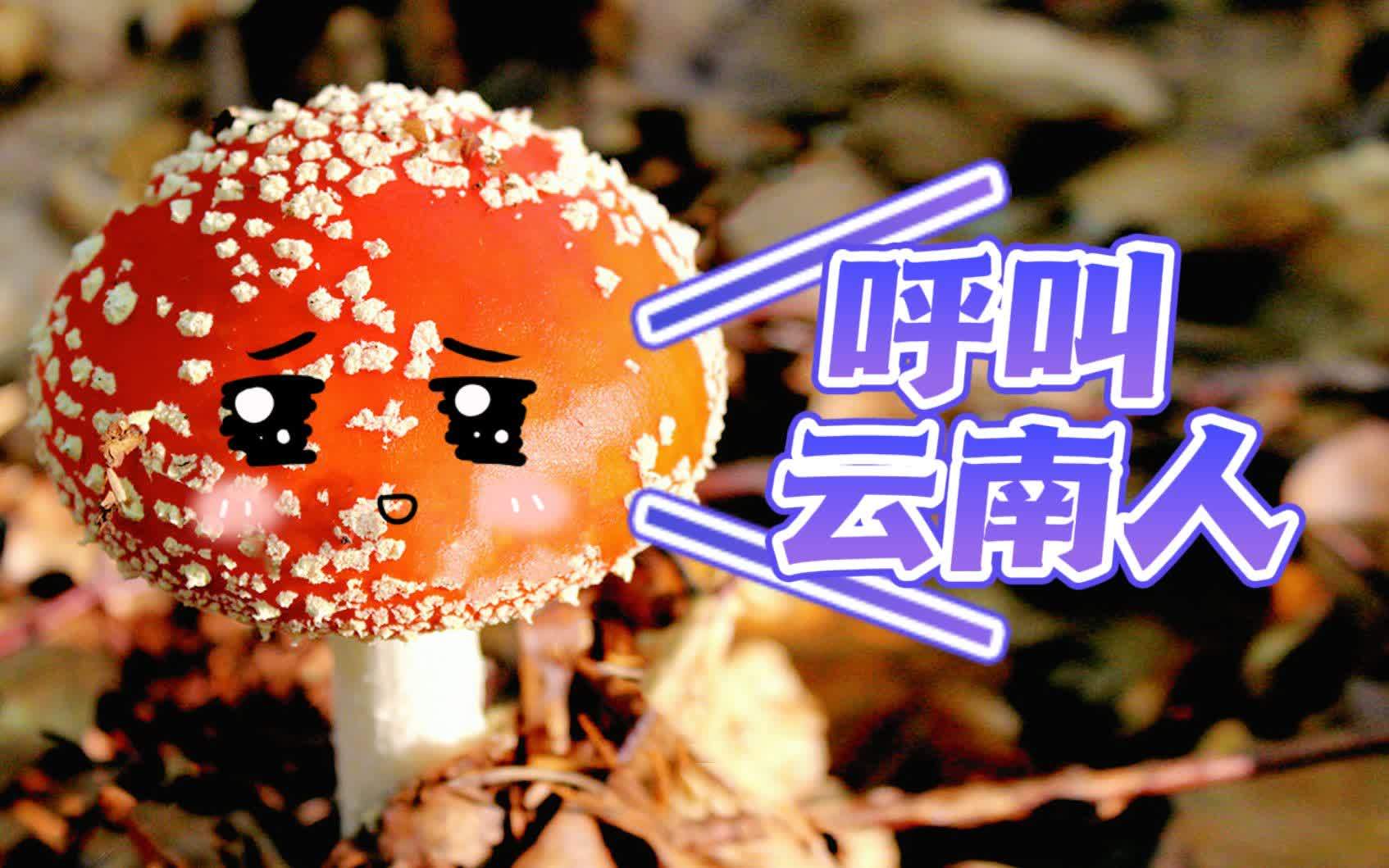 【小侠】吃完致幻蘑菇当场学会一门语言?菌子竟是人类祖先!