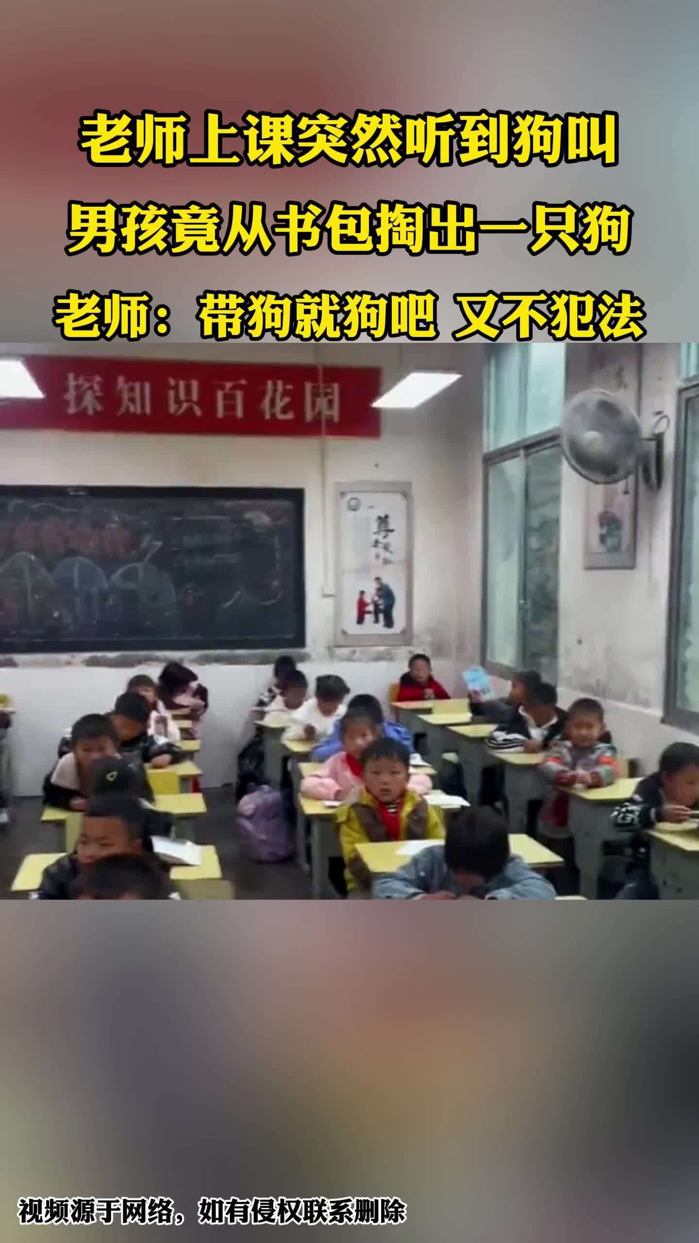 你见过上课带狗狗的吗?老师上课突然听到狗叫