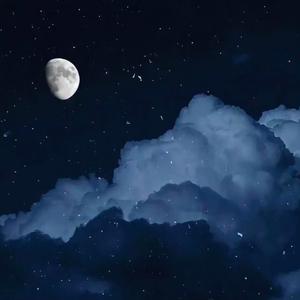 学医的秃头少年 