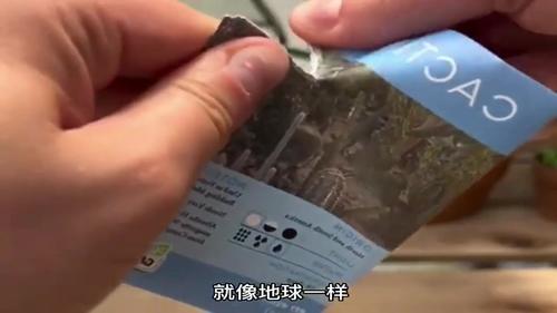 你们见过这种生态瓶吗?