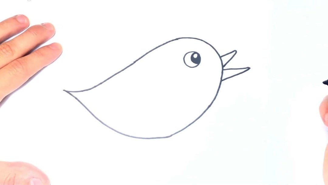 儿童简笔画;如何画鸟非常容易鸟画