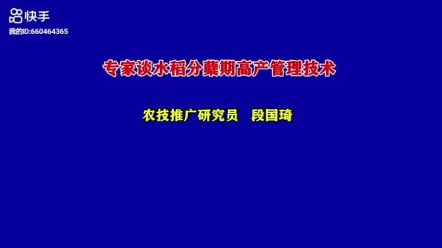 专家谈水稻高产管理技术