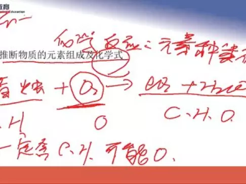 初中化学-质量守恒定律的应用