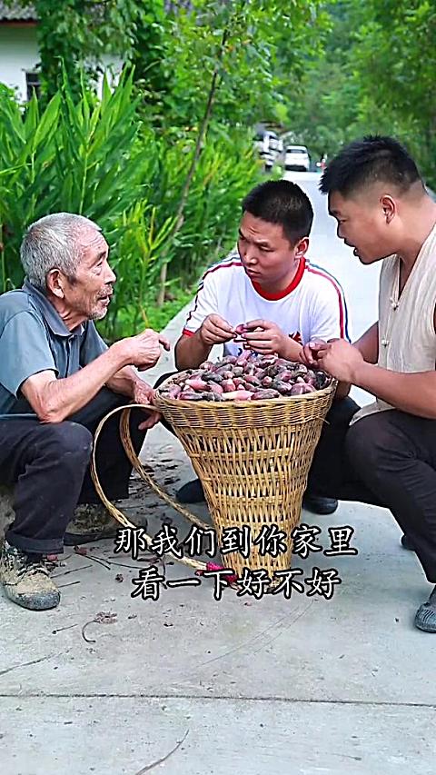 ...雀神广东麻将怎么老是输-四川跑得快必赢神器-河北约牌吧怎么开挂...