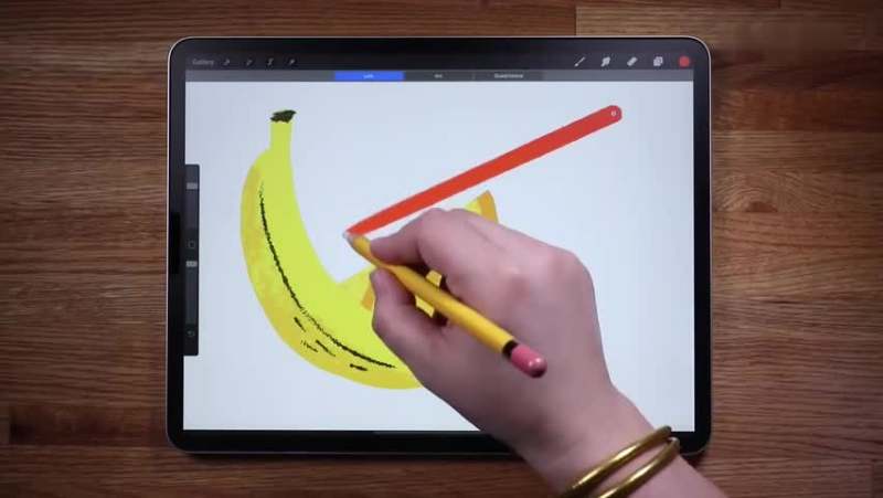 Procreate简单教程——学习在iPad上画画