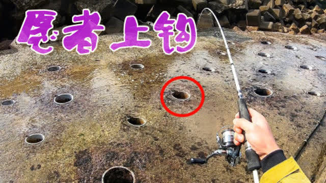 外国小伙脑洞大开,拿着鱼缸在路边水管钓鱼,没想到还真有