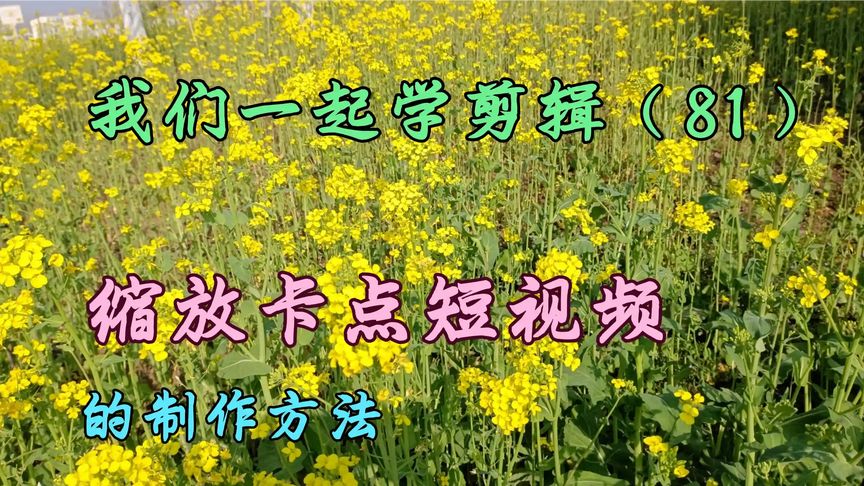 利用剪映回弹伸缩和缩放动画效果制作缩放卡点短视频,简单好学!
