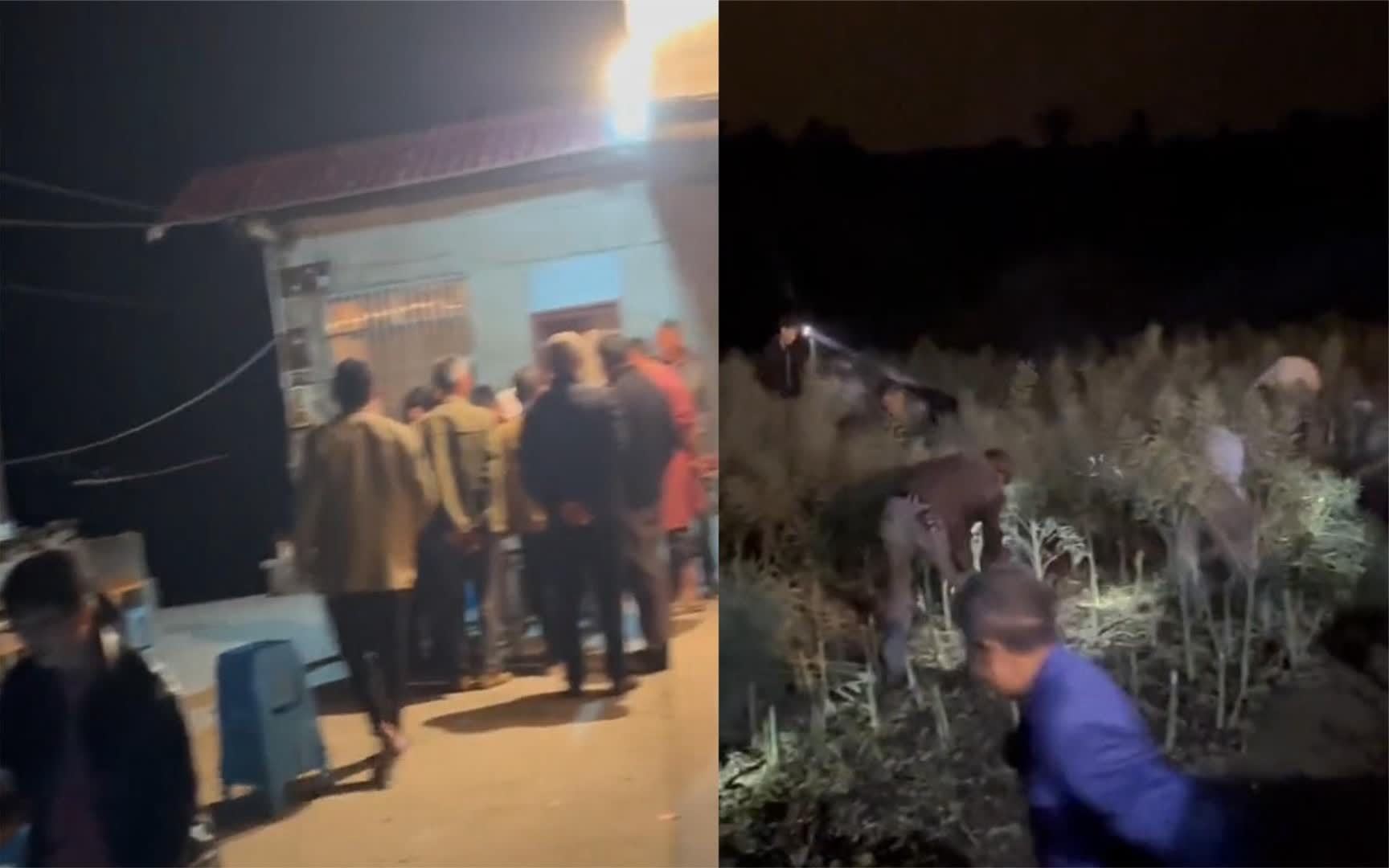 村里半夜有老人离世,邻居们自发赶来帮忙割油菜籽:远亲不如近邻